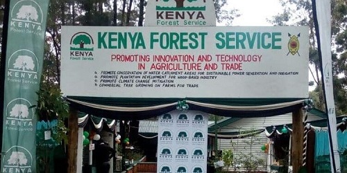 How To Apply for Kenya Forest Service Recruitment 2025/2026
