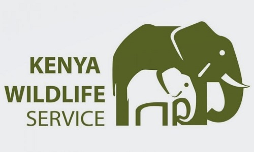 KWS Recruitment Shortlisted Candidates 2025/2026 (PDF)